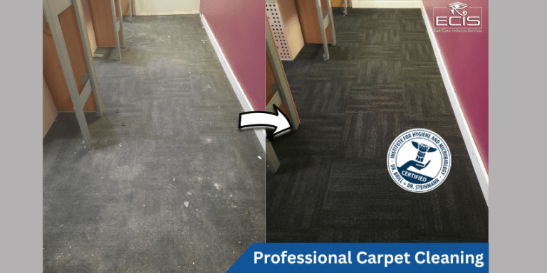 Ultimate guide to Professional Carpet Cleaning Services | East Coast ...